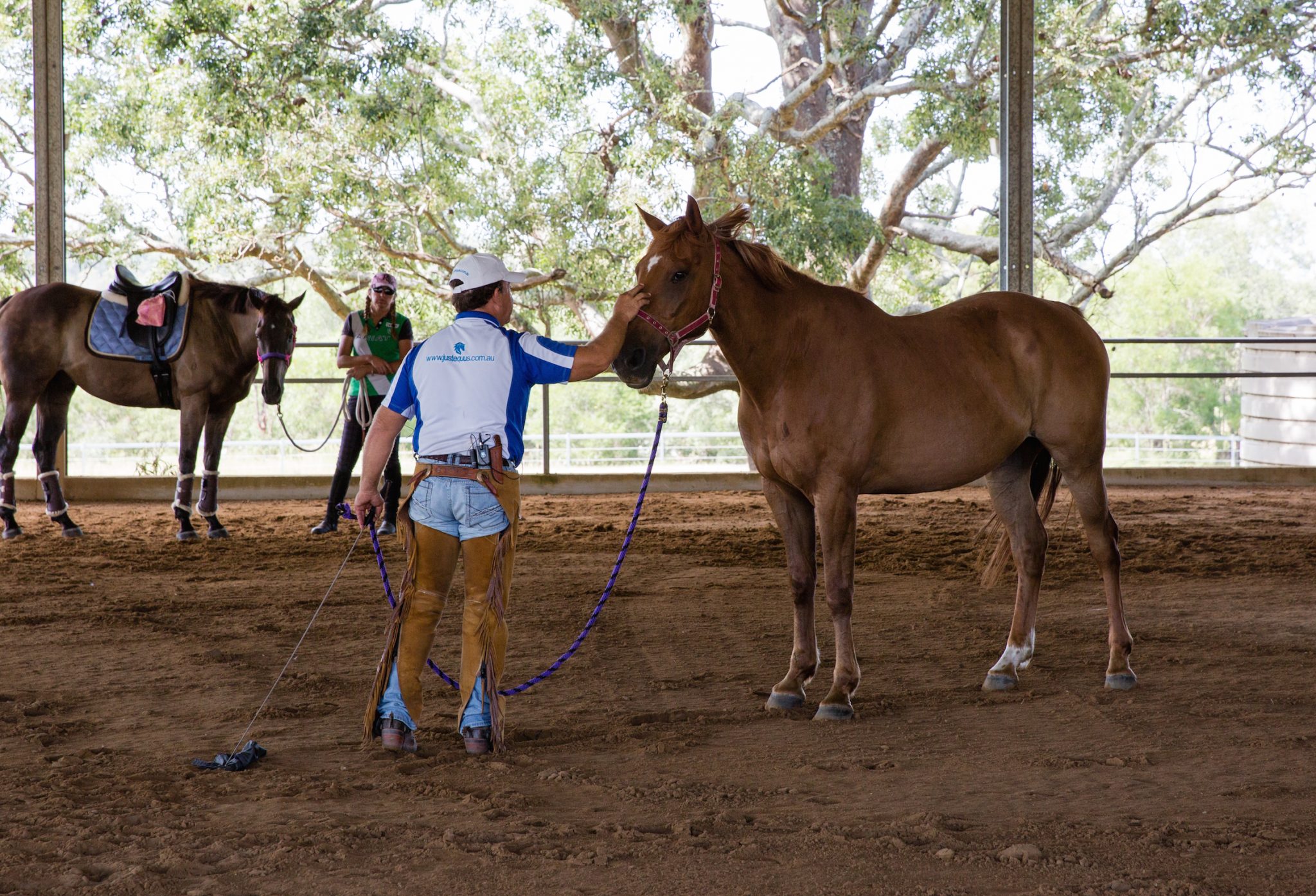 Your Presentation to your Horse - Just Equus